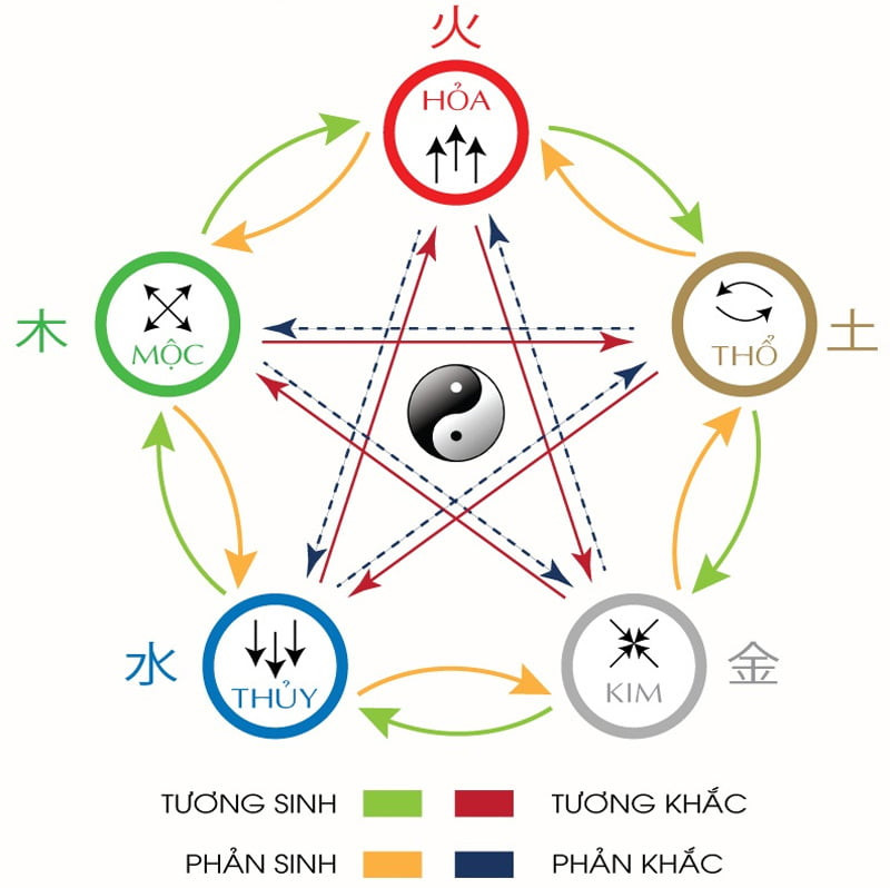Ngũ tạng và sinh lực: Nam y nhìn lại gốc sinh sản của con người | Sức ...